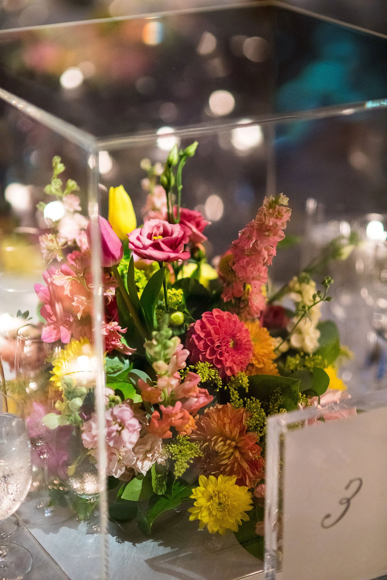 Flowers Encased in Acrylic Box