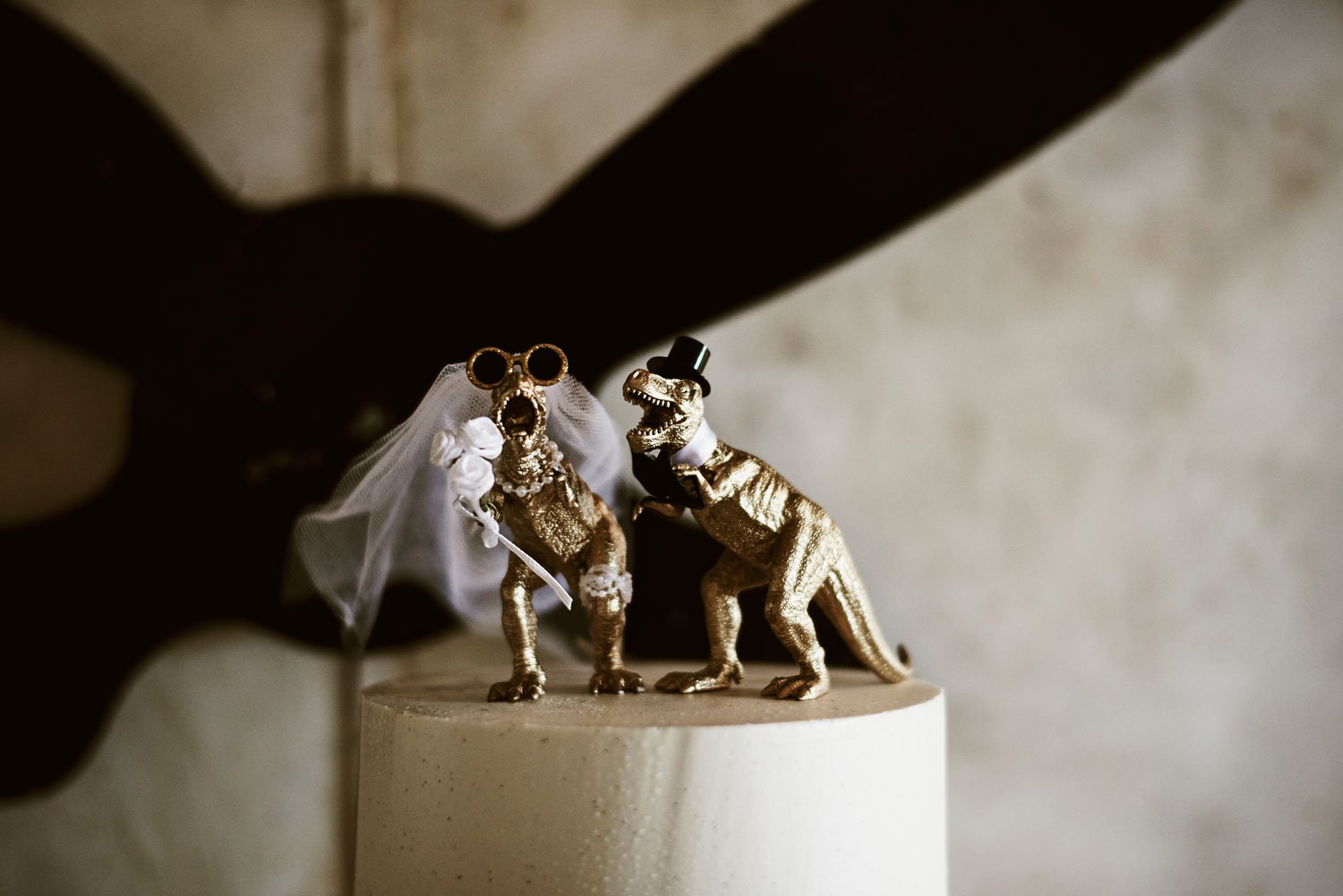 Bride & Groom Dinosaur Cake Topper