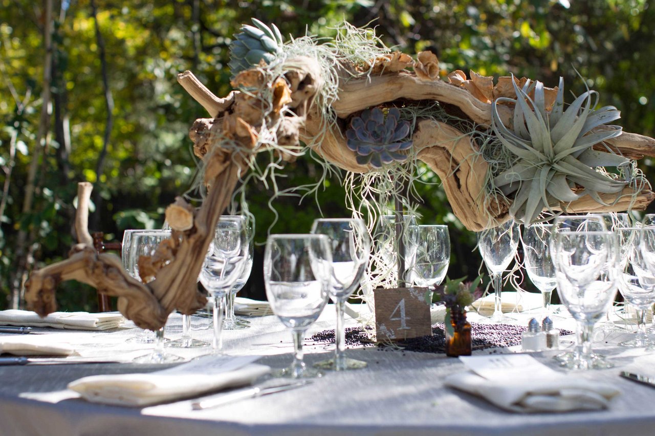 Sprawling Nature-Inspired Centerpiece