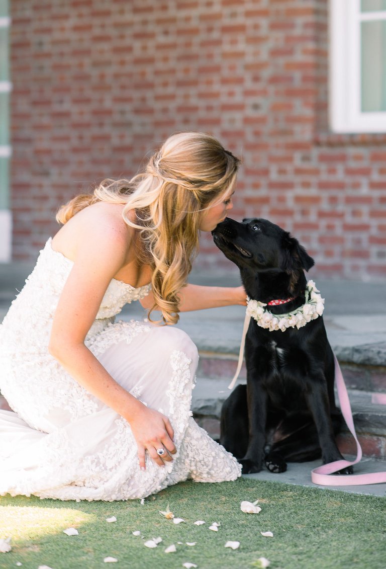 Bride Kisses Dog