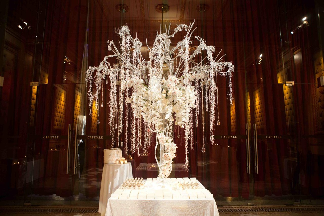 Beautiful Ways to Enhance Your Décor With Trees